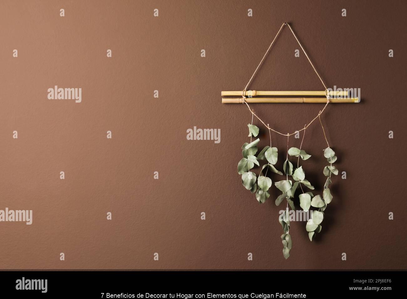 7 Beneficios de Decorar tu Hogar con Elementos que Cuelgan Fácilmente ...