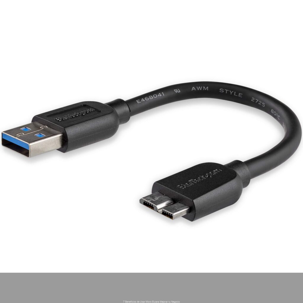 7 Beneficios de Usar Micro B para Mejorar tu Negocio - LaraBuide